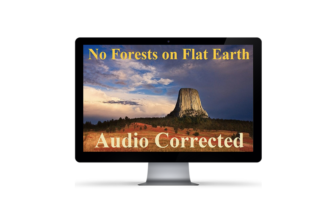 There are no forests on earth! (English dubbed) – STOP | LOOK | THINK